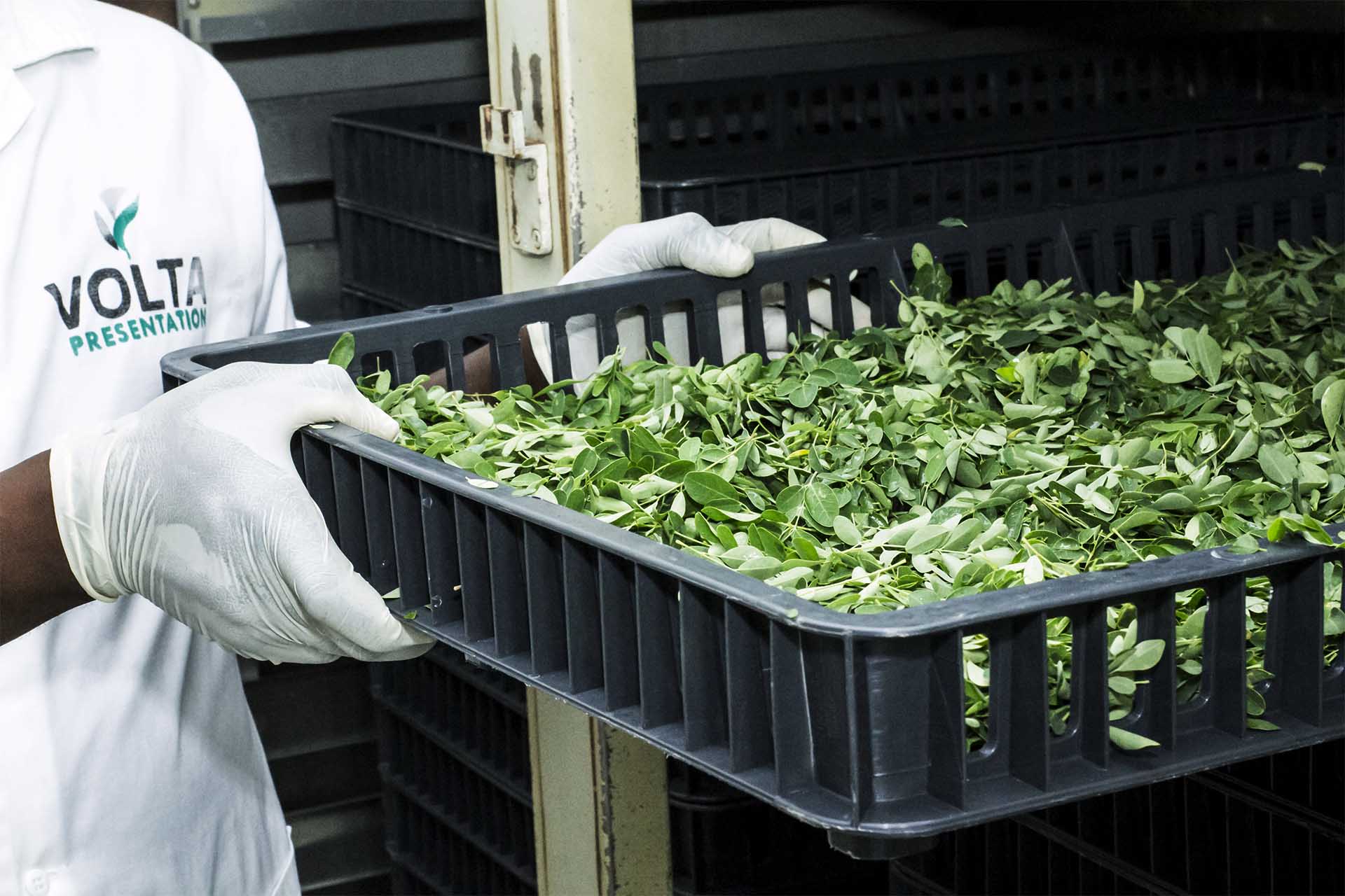 Volta Presentation Farms - Quality Food