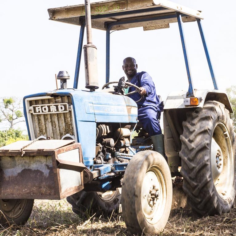 About Us - Volta Presentation Farms